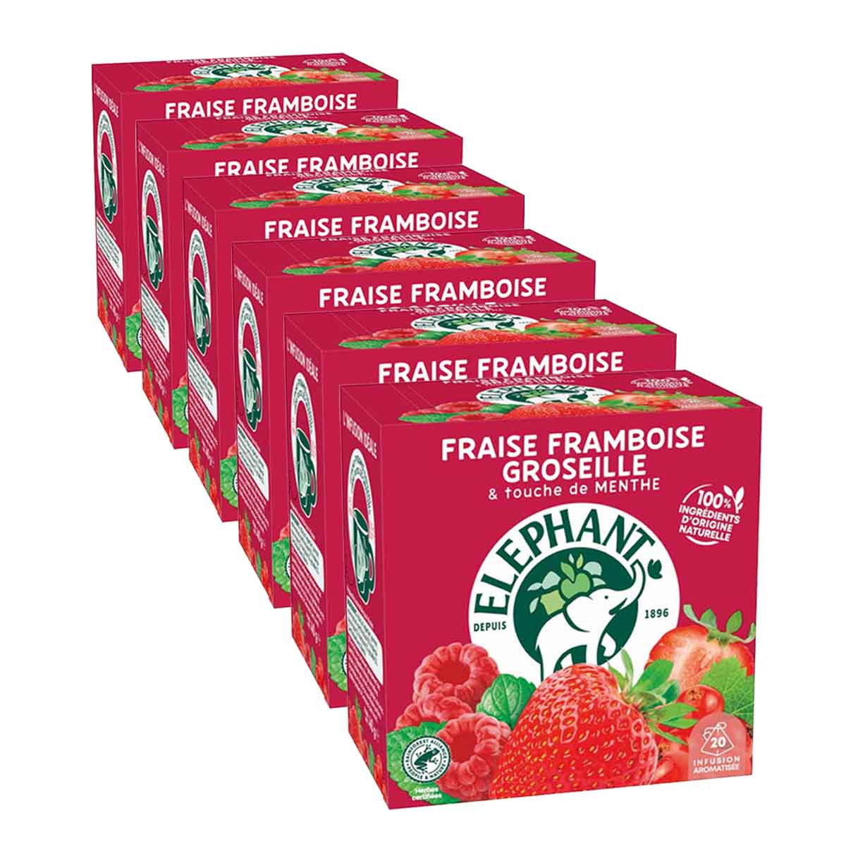 Coffret d'Infusions Fruitées Éléphant 5 variétés - 50 sachets