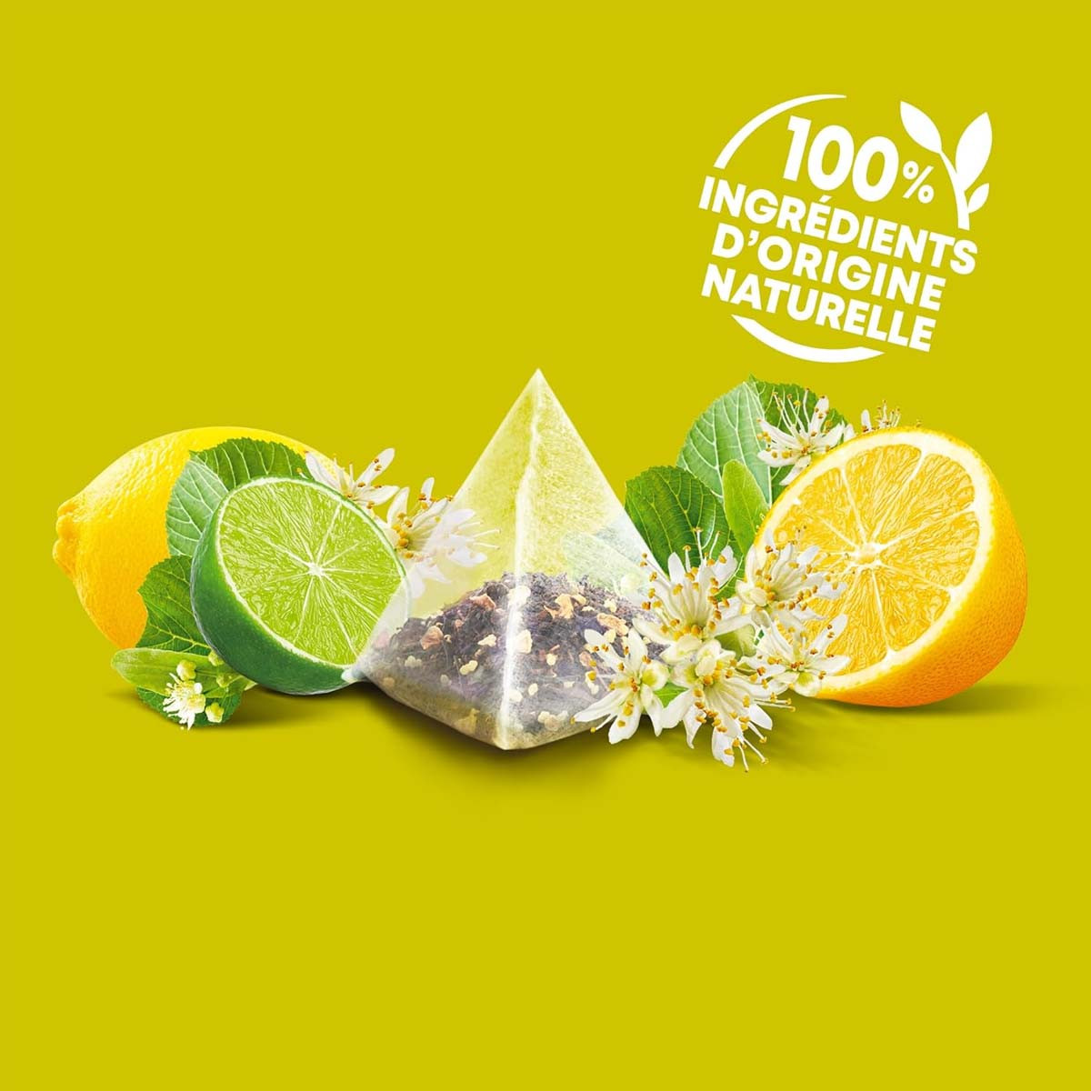 Infusion Éléphant Tilleul Citron et Citron Vert - 6 x 120 sachets