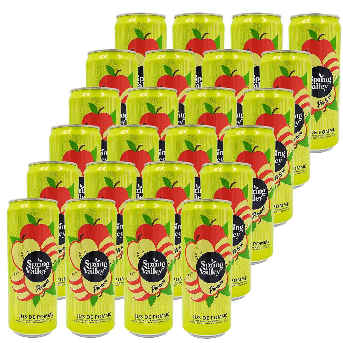 Boisson Energisante Red Bull Canette Slim de 25cl x24